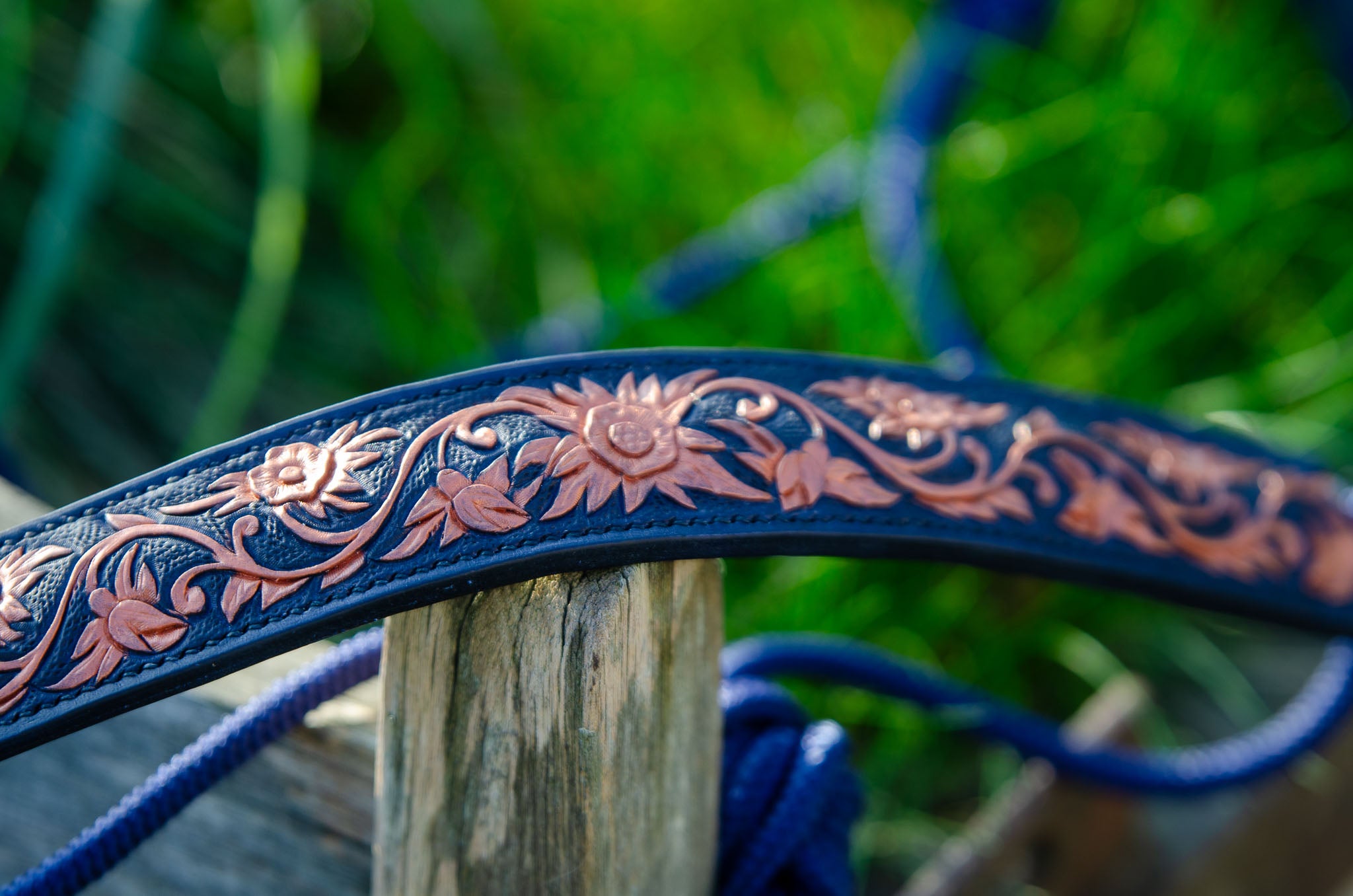 Touwhalster met leren neusband – Nativeropes